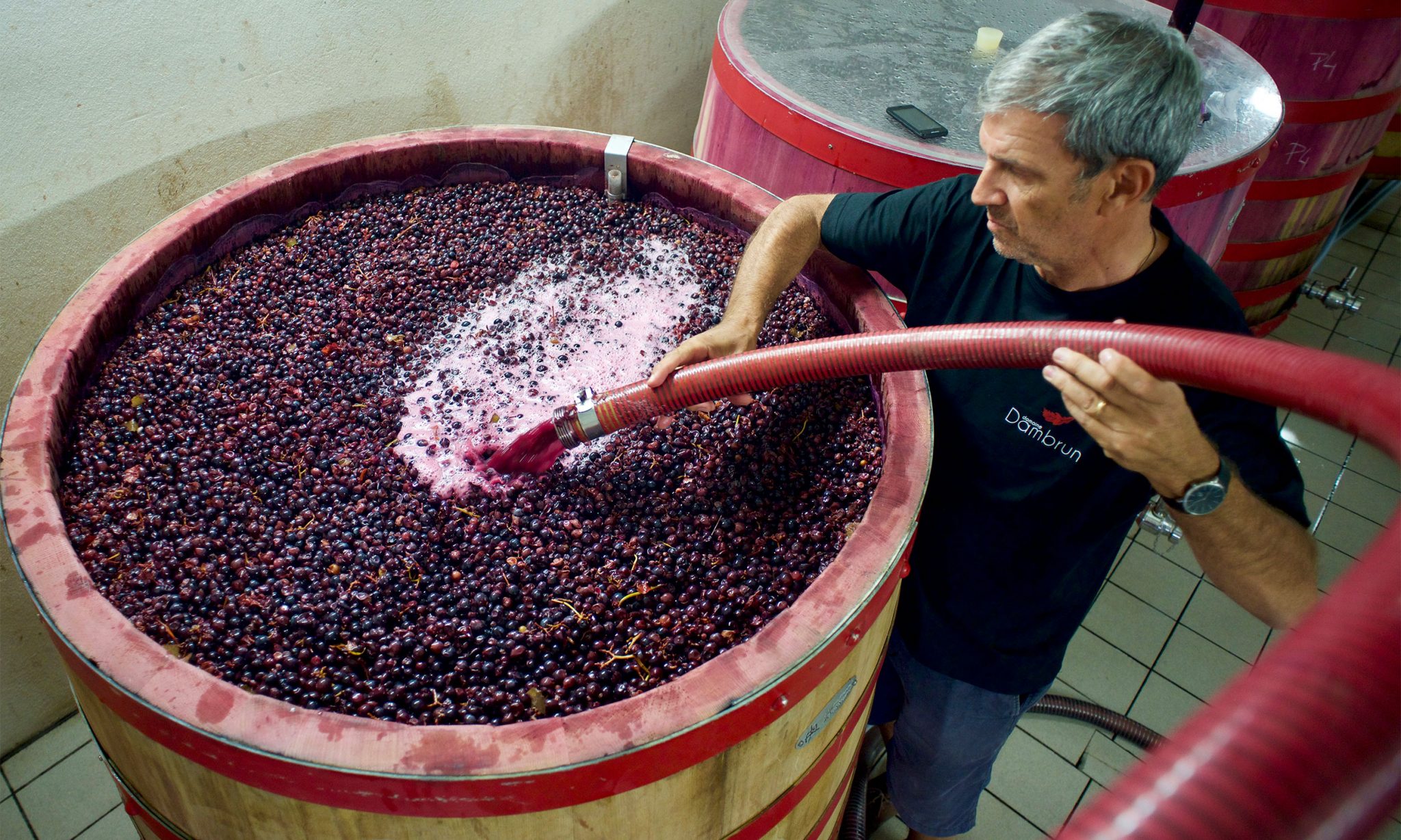 Domaine Dambrun – Site web officiel | Vins bio du Ventoux de Laurence ...